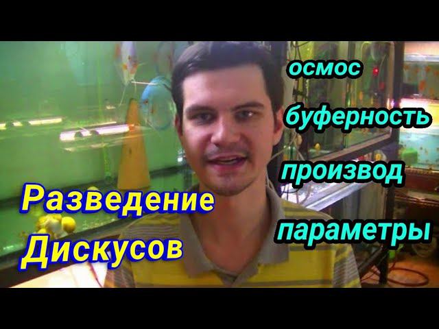 Дискусы: основы разведения и подготовки нерестовой воды