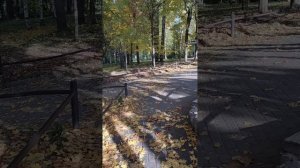 Шуваловский парк СПб. Осень
