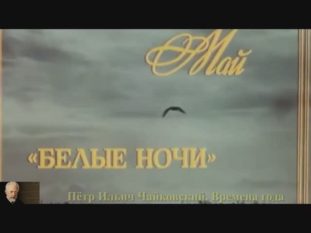 Май. Белые ночи.