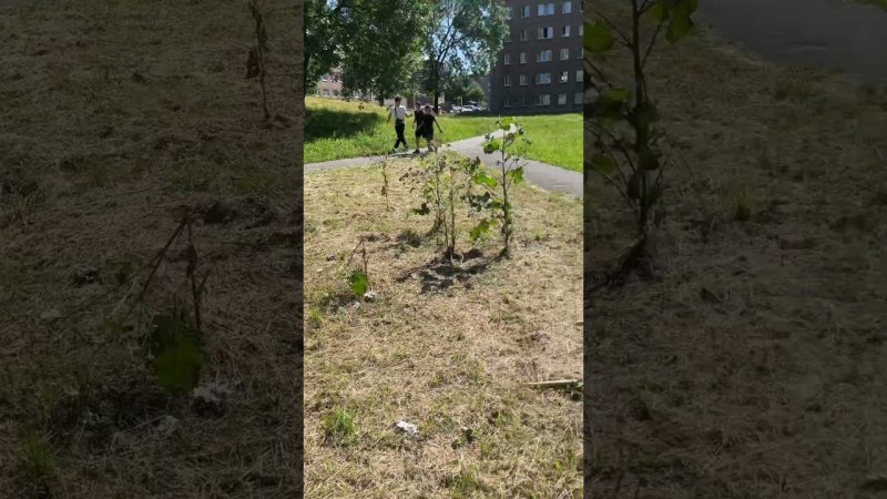 А лопухи то оставили :)