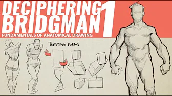 [moderndayjames] DECIPHERING BRIDGMAN'S ANATOMY 1