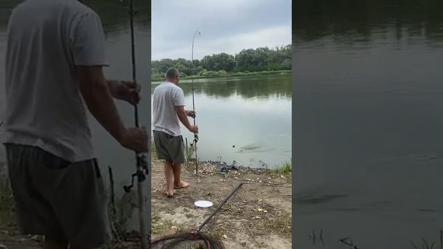 КТО ТАМ НА КРЮЧКЕ_ #SHORS ,РЫБАЛКА НА КАРАСЯ.РЫБАЛКА НА ДОН