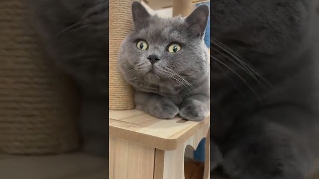 Ну удивил ?