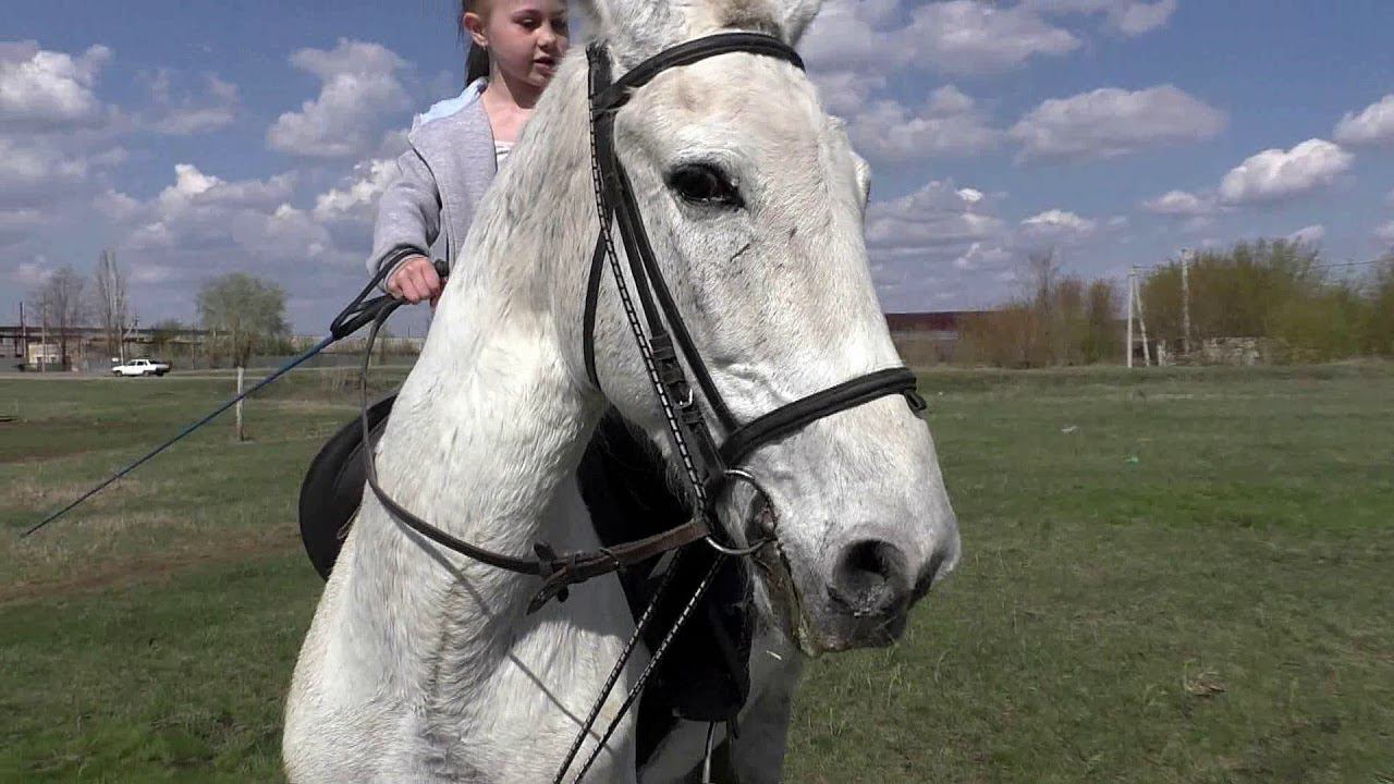 музыкальный клип на композицию Юта - Любимый мой