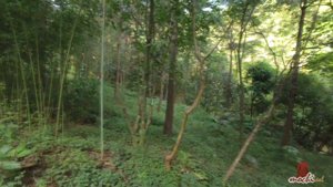 Terra Nostra Metapán
