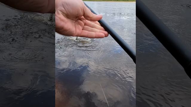 1000048298.mp4
