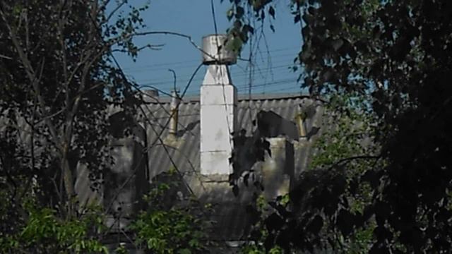 Голуби на крыше в том числе и у трубы 699668 DSCN5450