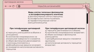 Щитовидная железа