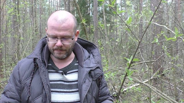 Шекспир, сонет 113