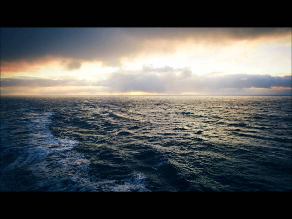 359.Трофеи 136.mp4