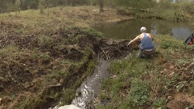 Поход к роднику.Попал под дождь.Дикие животные на моем пути.Жарим сало на костре
