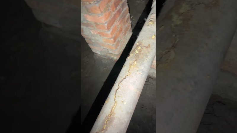 Канализация не доживет до лучших времён.