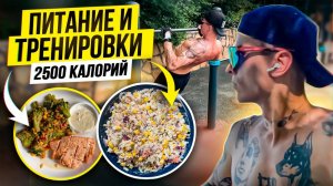 ПИТАНИЕ И ТРЕНИРОВКИ | ДЕНЬ ИЗ ЖИЗНИ | 2500 КАЛОРИЙ