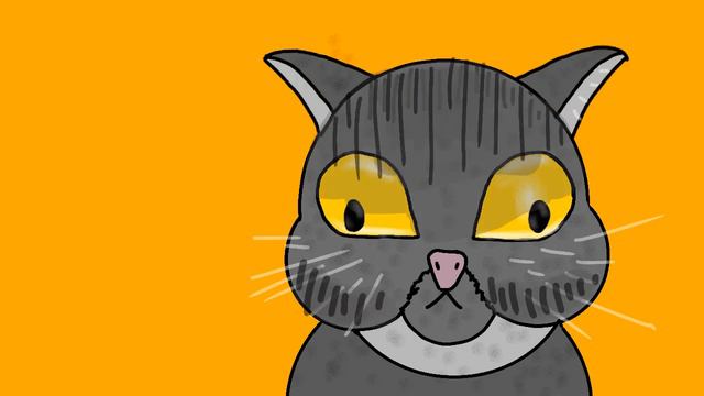 анимация про котика
