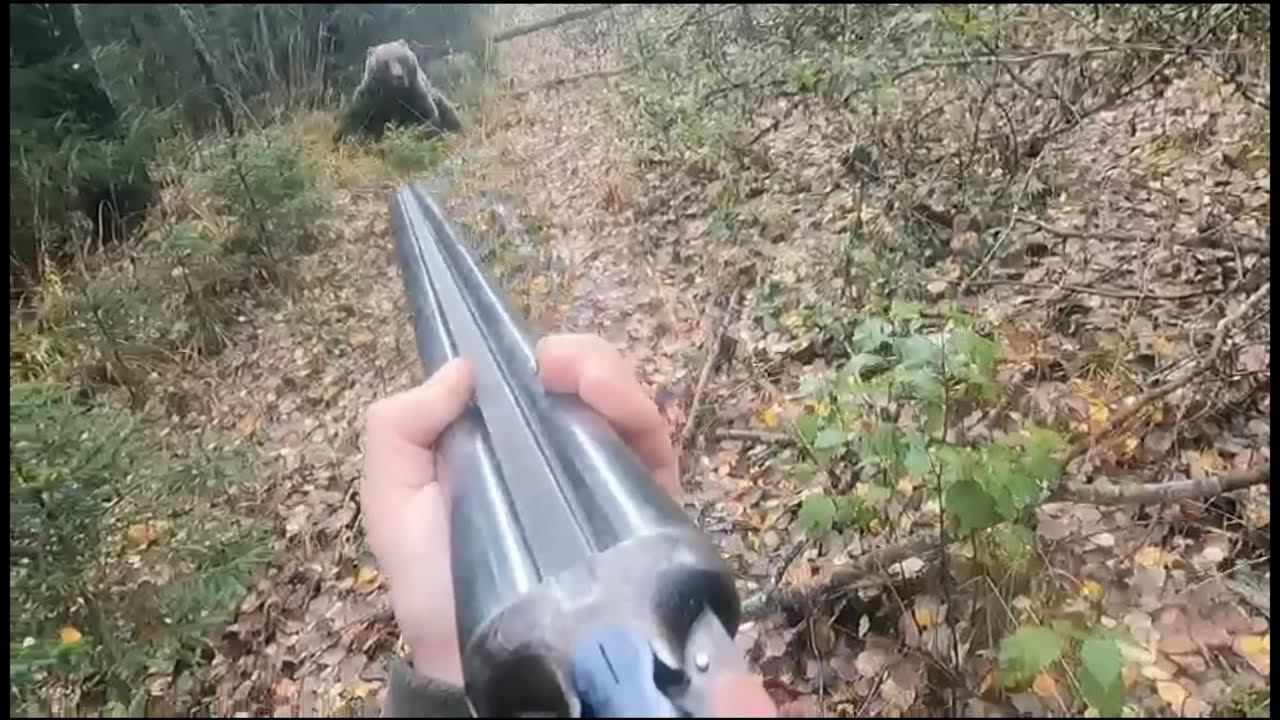 💥Встреча с МЕДВЕДЕМ в лесу