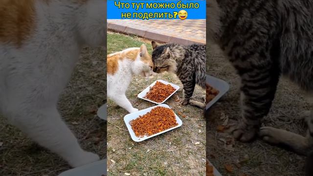 Всегда мало )