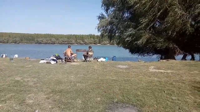 Рыбалка на Дунае 2, 3 октября 2020. Румынский рыбнадзор..mp4