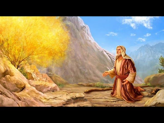 2.04 По страницам Библии - лекции доктора Мак Ги по книге Исход