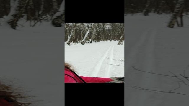 сегодня, 27.11.2023 г, начала лыжный сезон!