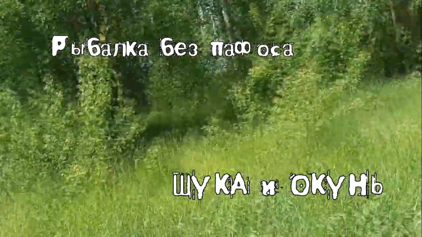 Рыбалка без ПАФОСА. ЩУКА и ОКУНЬ.mp4