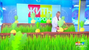 Жить здорово! Выпуск от 24.05.2022