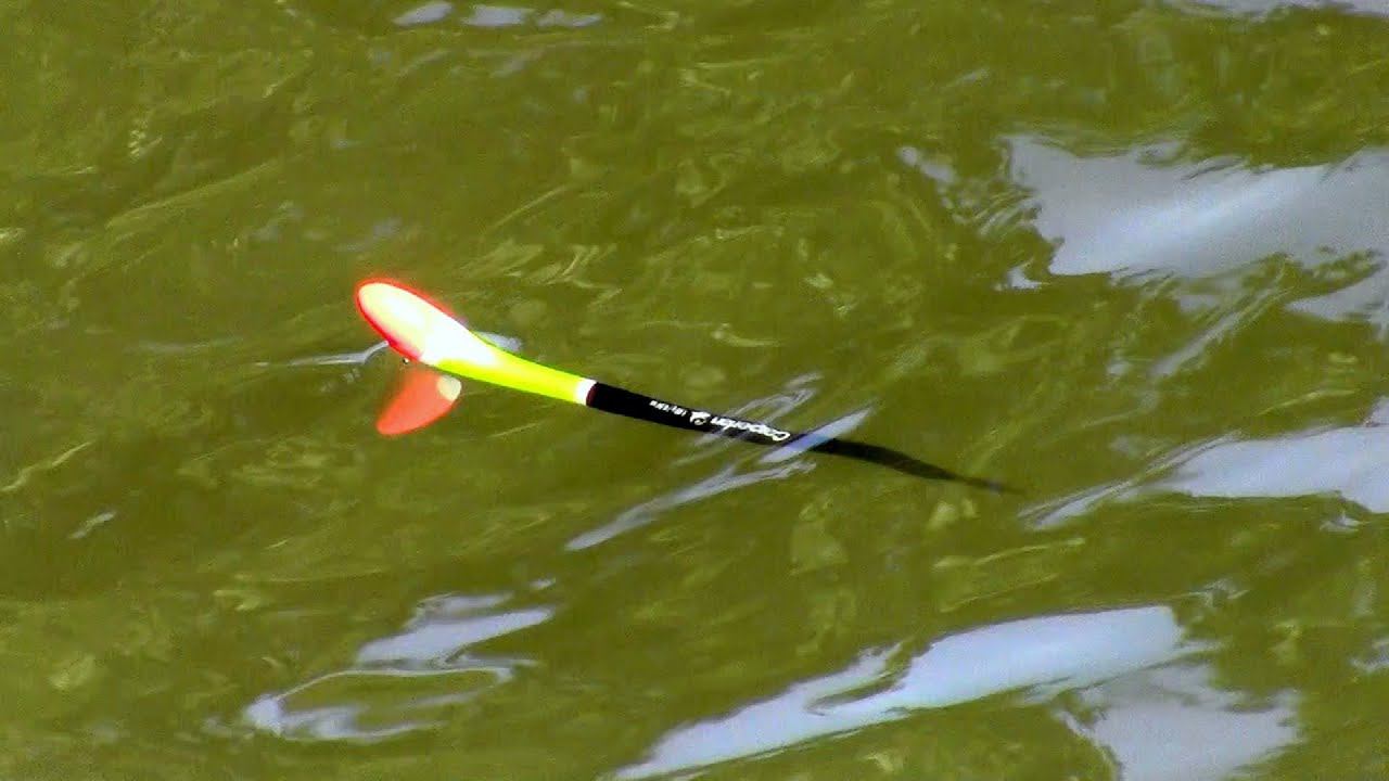 У МЕНЯ РУКА ЗАБОЛЕЛА ОТ ТАКОЙ РЫБАЛКИ! БЕШЕНЫЙ КЛЕВ НА ПРУДУ!