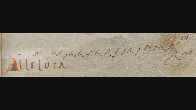 Alleluia Dilexit Andream Dominus