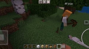 Играю с Аксолотлем в Майнкрафт,но это выживание в лесу