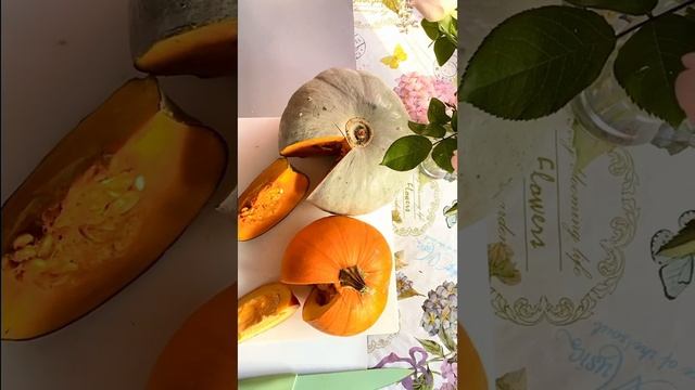 Отличие сортов тыквы ?