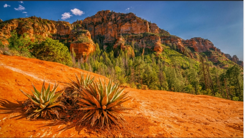 Красивая Музыка Сна ✦ Расслабляющая Музыка И Потрясающие Видео От Стресса 🎵 Релаксация