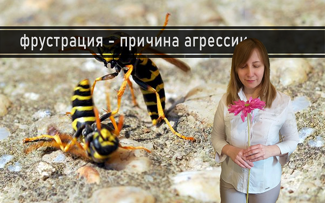 РАЗОЧАРОВАНИЕ В ОЖИДАНИИ