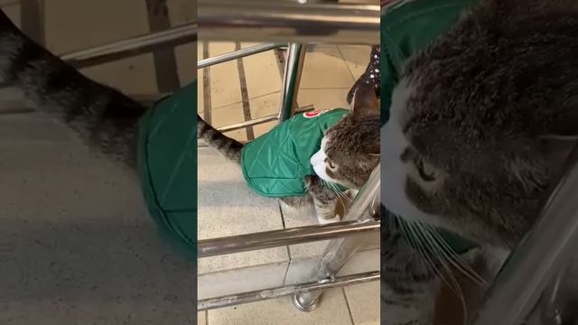 Директор по качеству рыбов