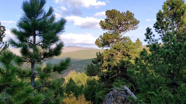 В тайге на Семинском перевале.