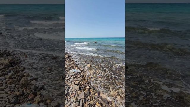 ► Любимое Красное море🥰