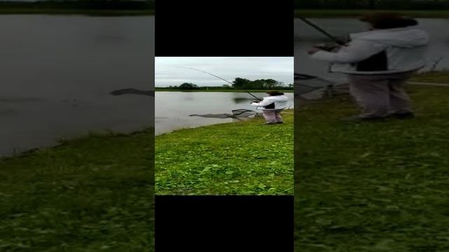 VID-20220620-WA0003.mp4