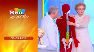 Жить здорово! Выпуск от 30.05.2023