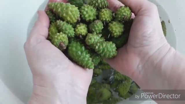 Варенье из Сосновых Шишек