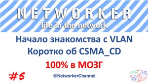 Перед тем как узнать Vlan. Базовая концепция. Коротко об CSMA_CD.