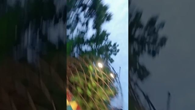 Лагере ромашки в Таганроге