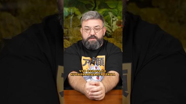 КАКИЕ СУЩЕСТВУЮТ ВИДЫ ГЕЙШ #история #гейши #япония #саморазвитие #shorts