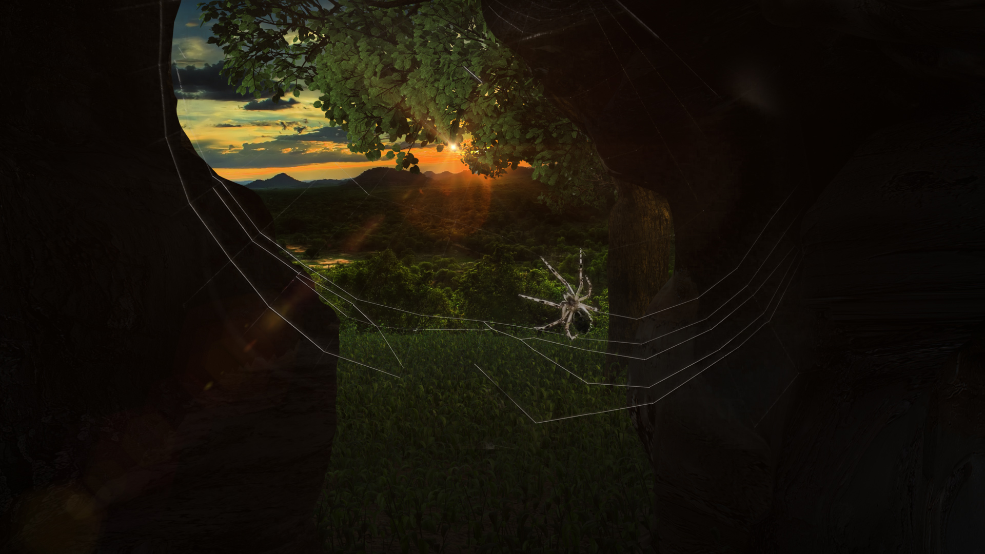 Сила у малом – мува и паук