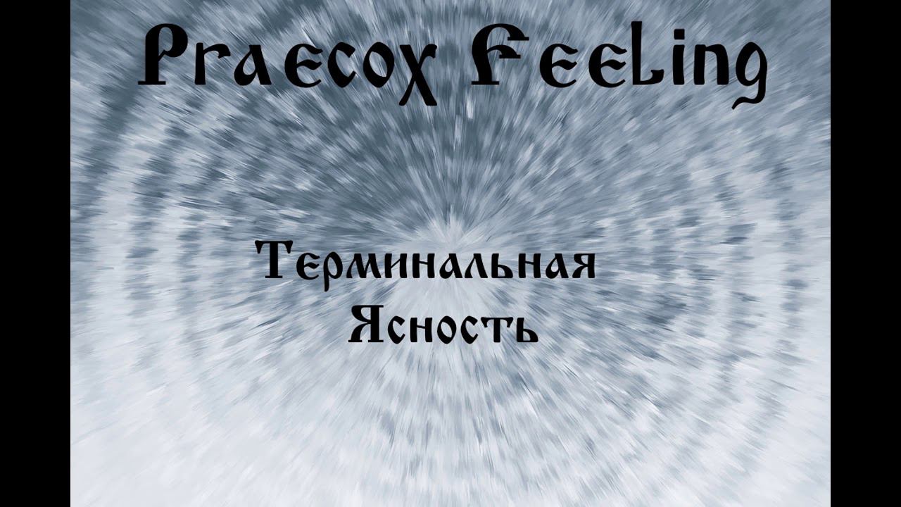 Praecox Feeling-Фантомная Ревность