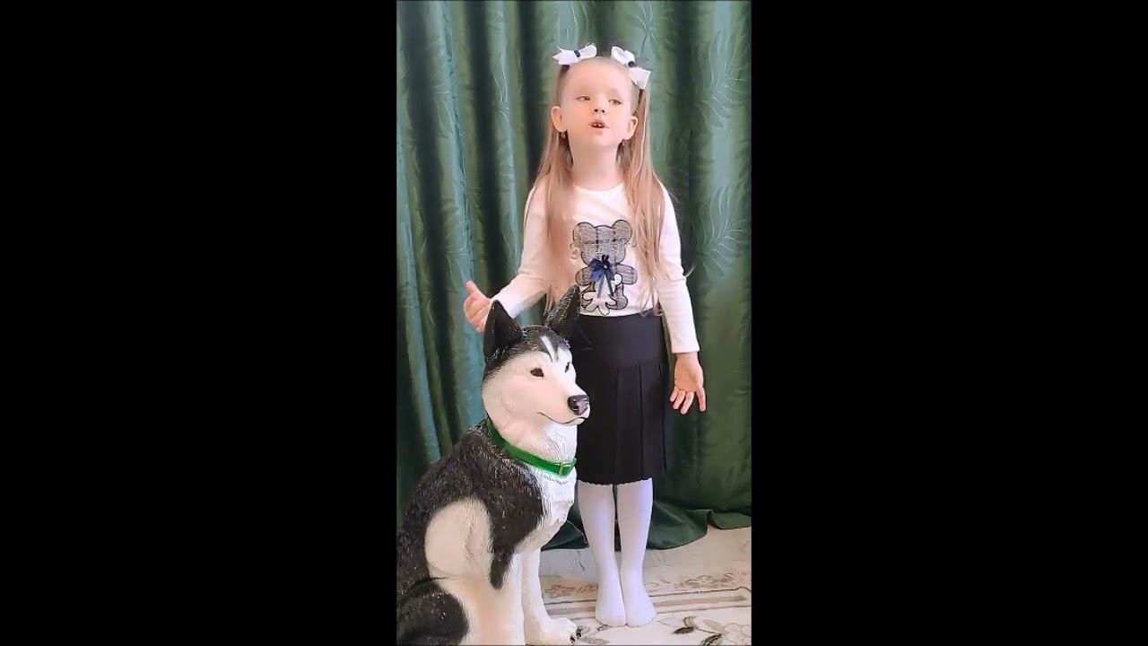 Конкурс "Красная ромашка". Участница №24 - Хадиева Злата, 5 лет, Зеленодольский район, пгт.Васильево