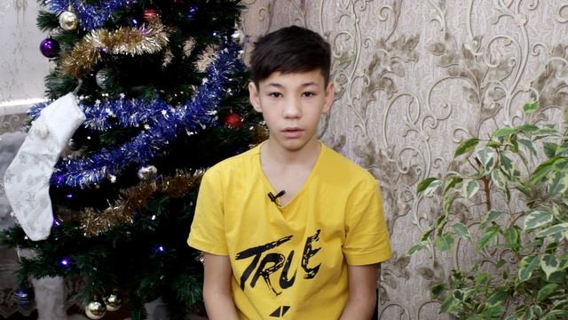 Владимир, 14 лет
