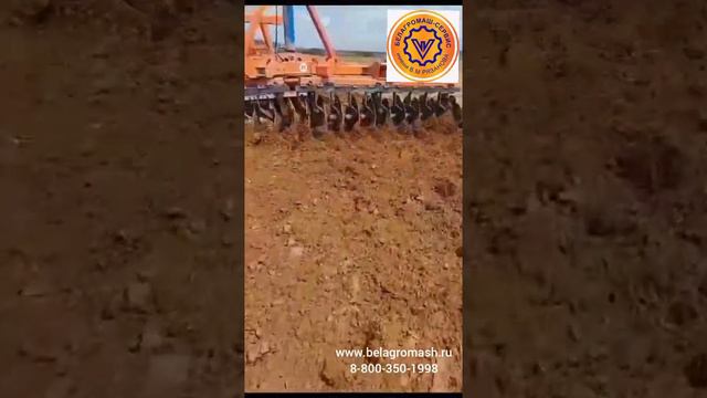 БДТ в Африке ( БДТ-5ПР ) Борона дисковая тяжелая повышенного ресурса эксплуатации  серия БДТ