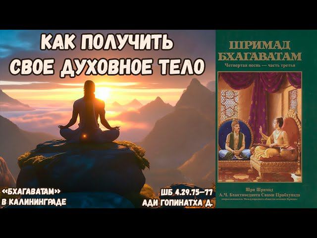 Как получить свое духовное тело. Ади Гопинатха д. ШБ.4.29.75–77