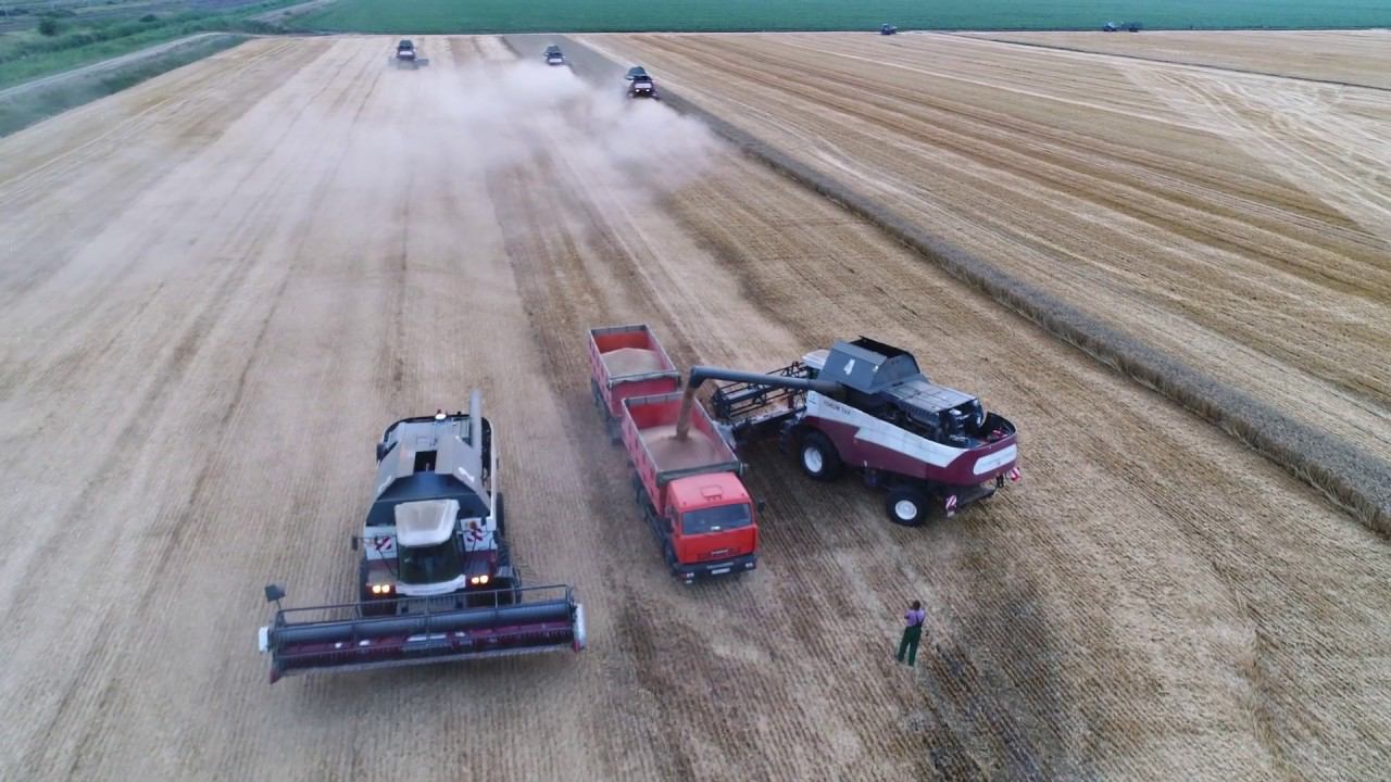 Агрохолдинг «Плодородие»