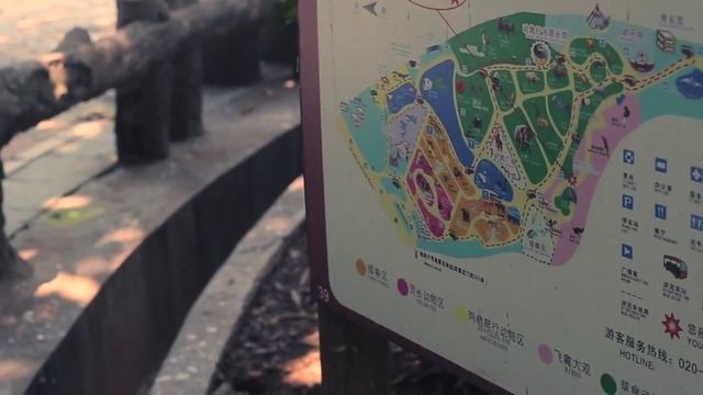 В городском  зоопарке Гуанджоу