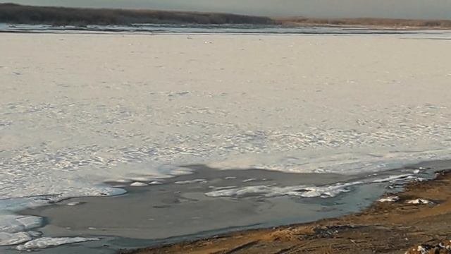 20220415_062538.mp4
