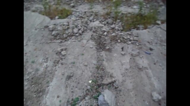 Влог #3. Прогулка по лесу